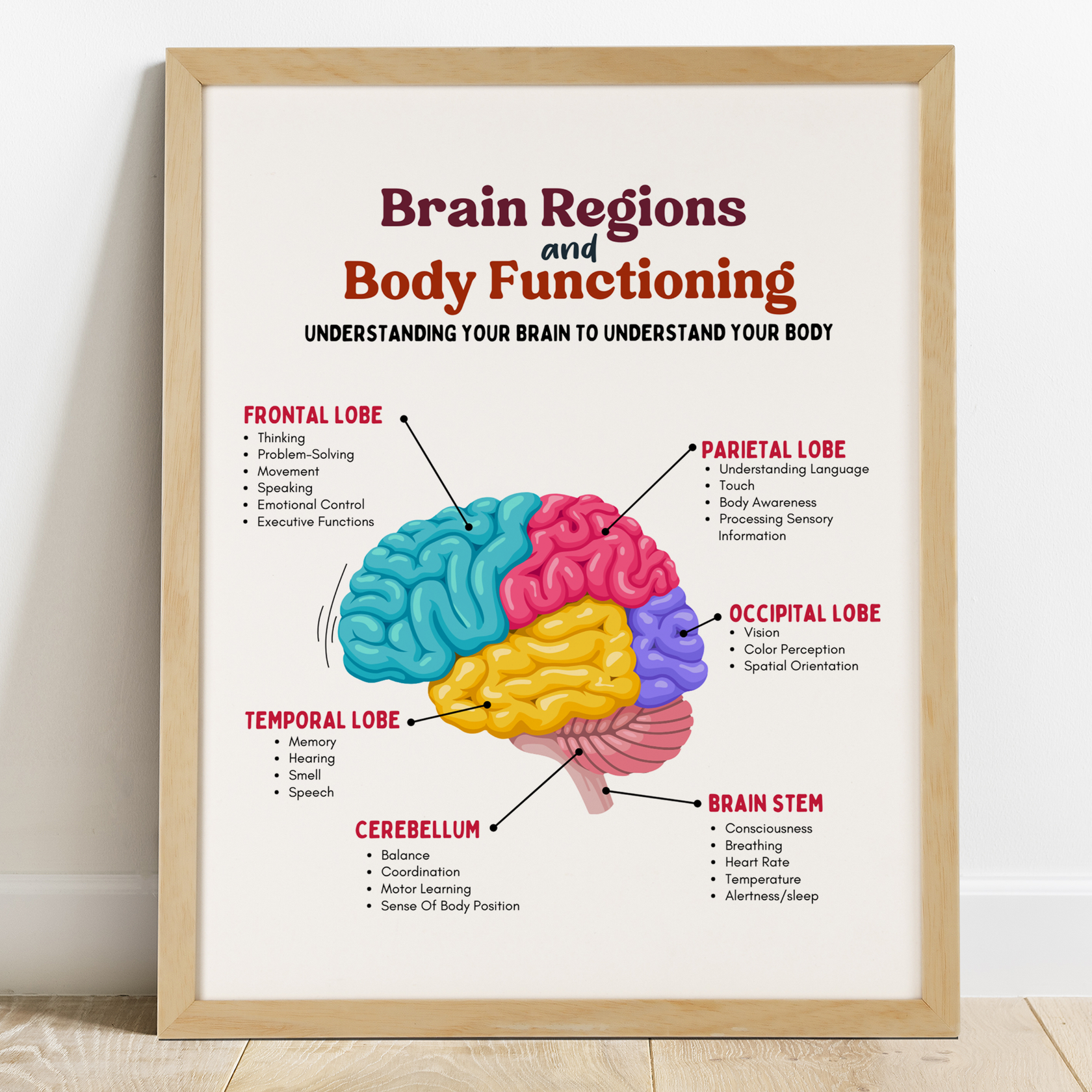 Brain Regions and Body Functions – Mental Health Center Kids