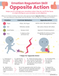 DBT Opposite Action (PDF) – Mental Health Center Kids