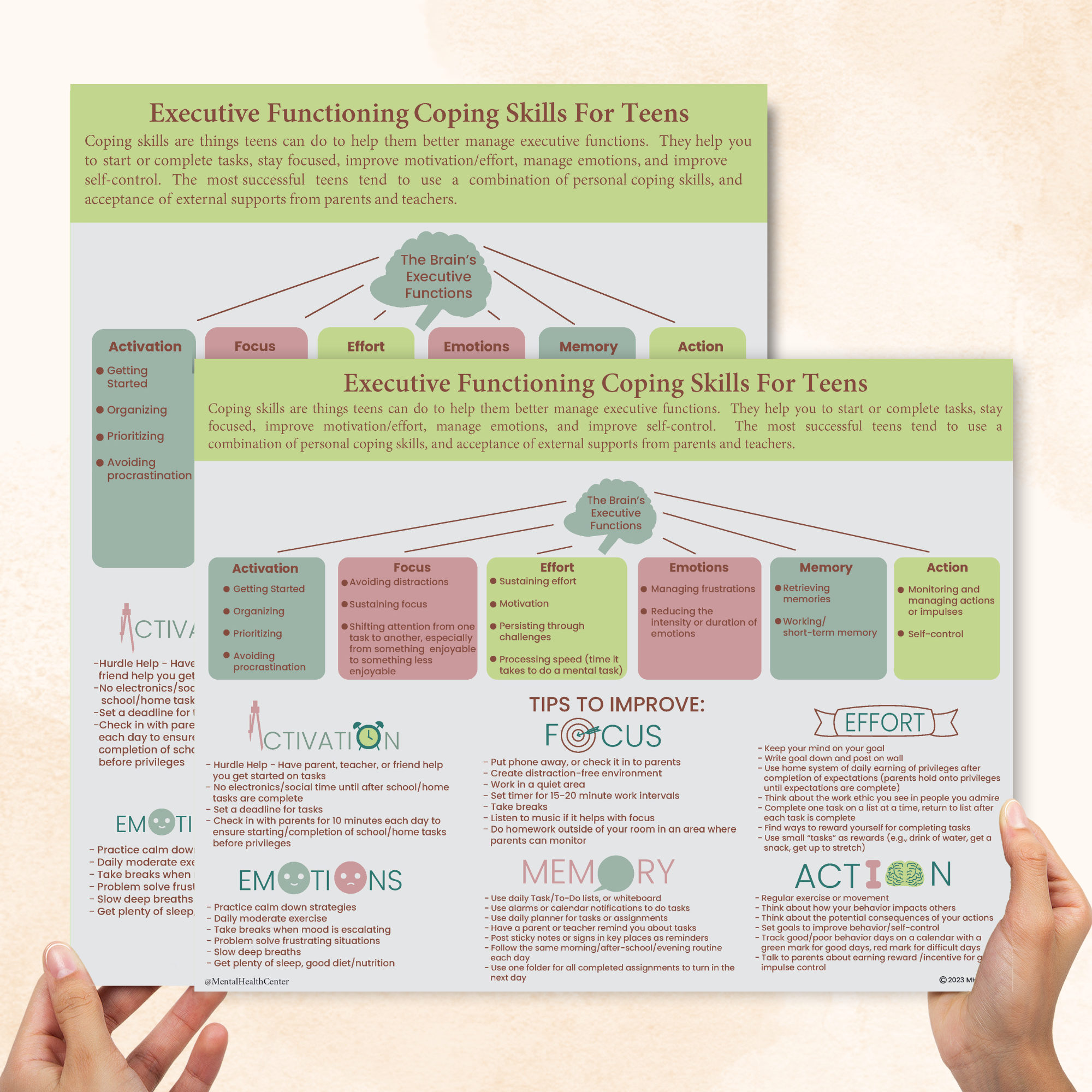 Executive Function Strategies High School Students In Teaching And