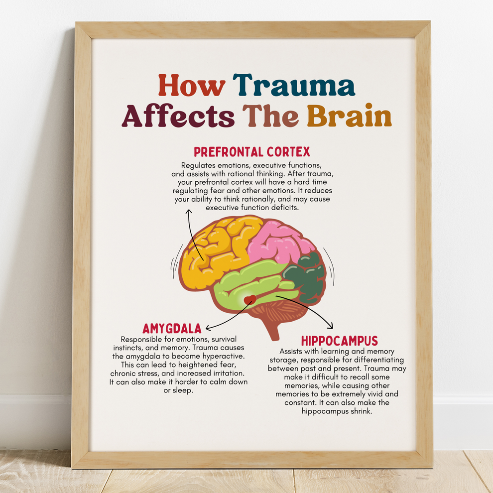 How Trauma Affects the Brain – Mental Health Center Kids