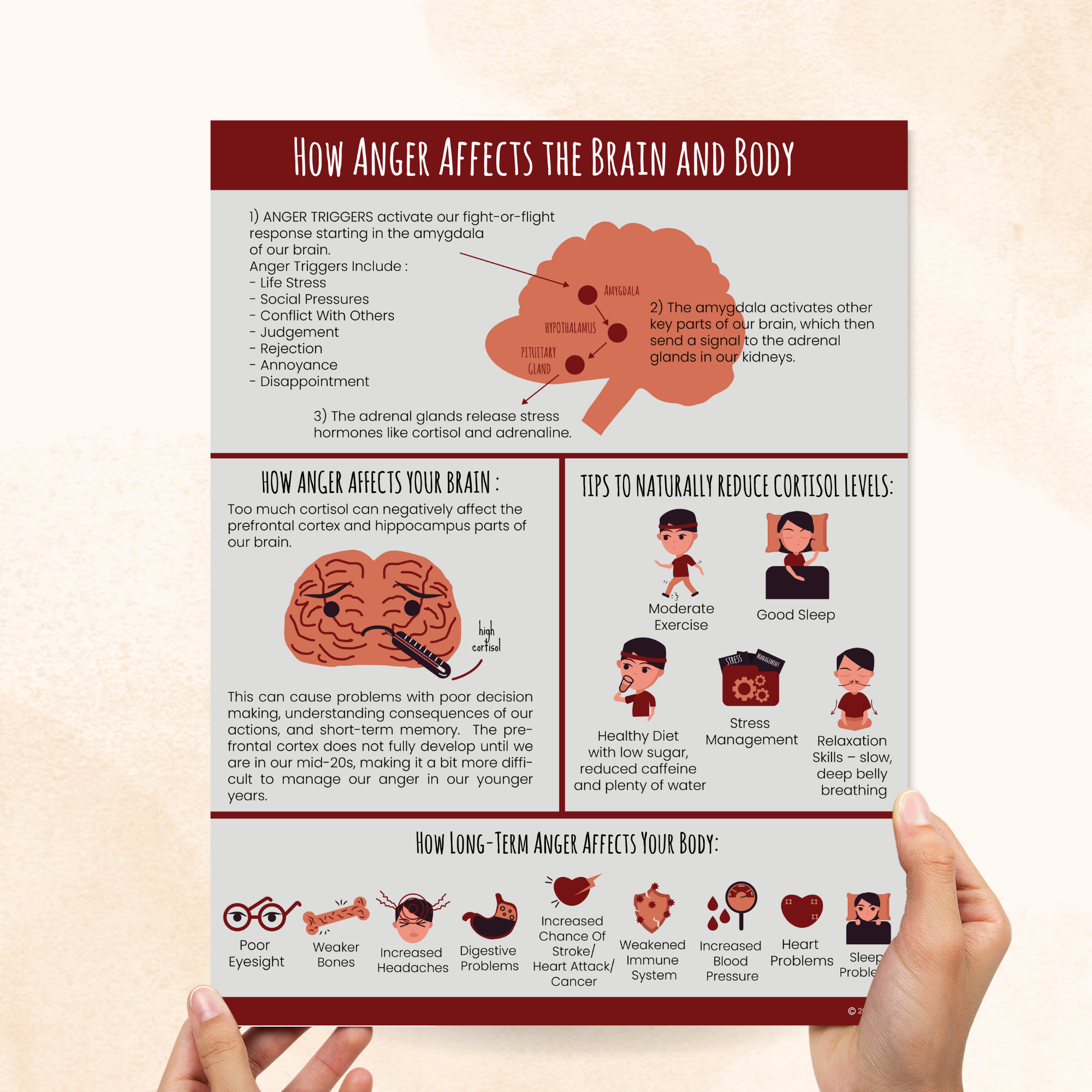 How Anger Affects the Brain and Body – Mental Health Center Kids