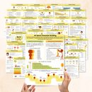 Character Education Posters Bundle – Mental Health Center Kids