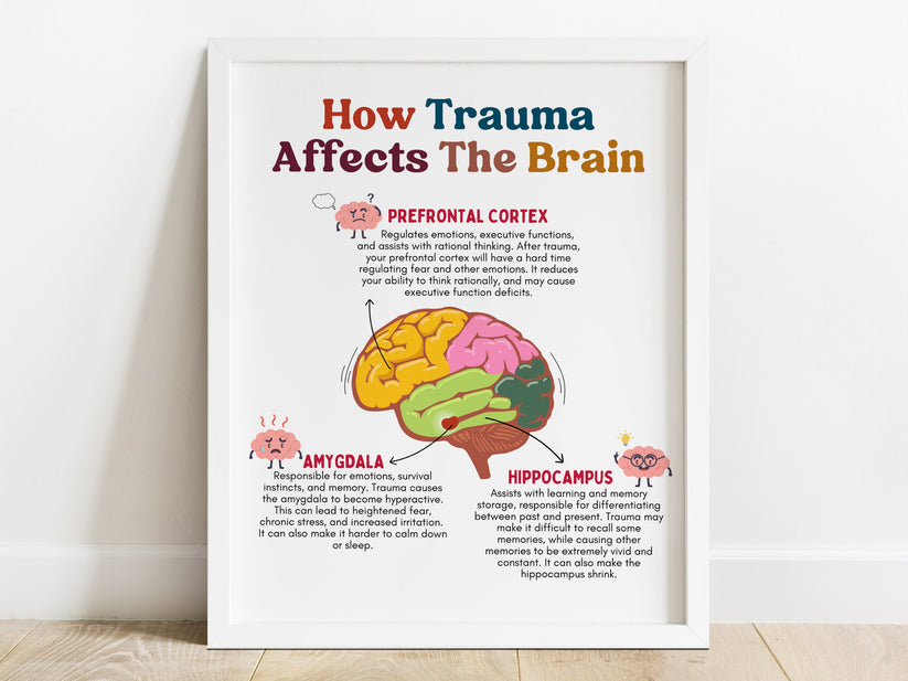 How Trauma Affects The Brain Poster – Mental Health Center Kids