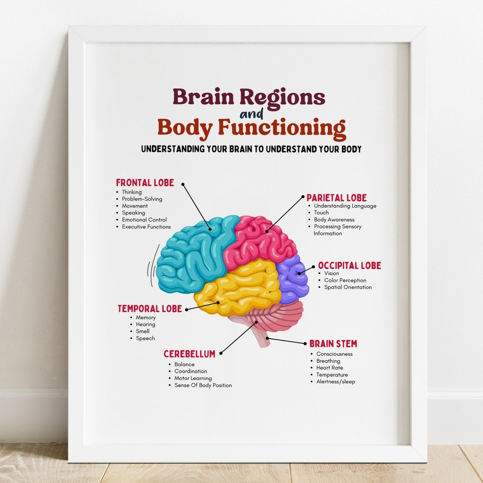 Brain Regions and Body Functions – Mental Health Center Kids
